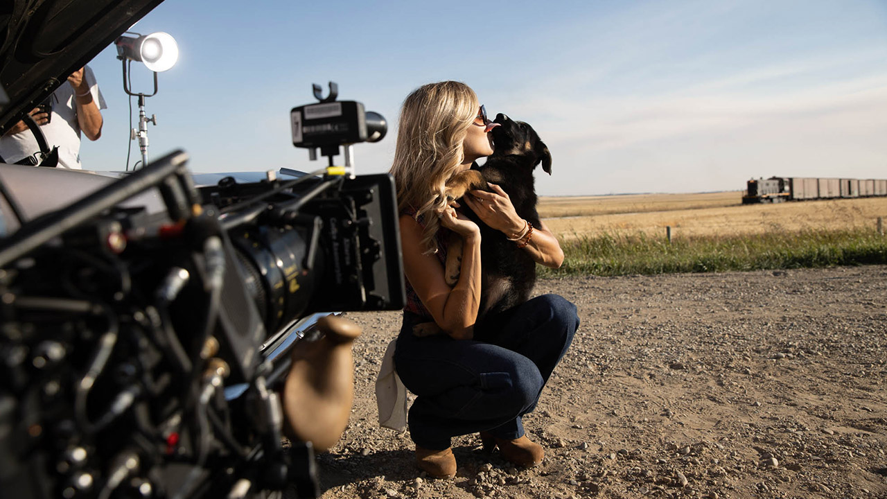 Creating an Epic Advertisement (and result) from The Littlest Hobo ...